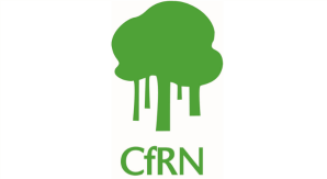 Netguru | Certified B Corporation® Policies & Values